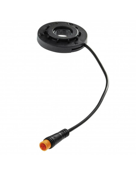 eBike REAR KIT 250W CASSETTE - PAS SENSOR F1